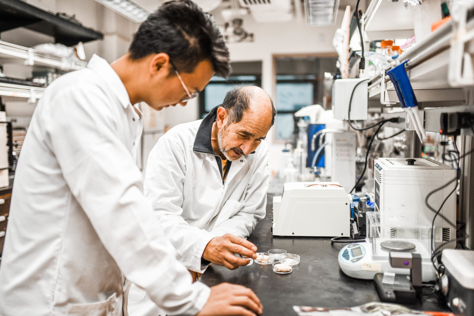 SCET’S Alt: Meat Lab Receives $1.15M Grant from Open Philanthropy - UC ...